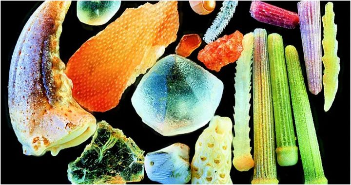 Sand under a Microscope; How Does Magnified Sand Look?