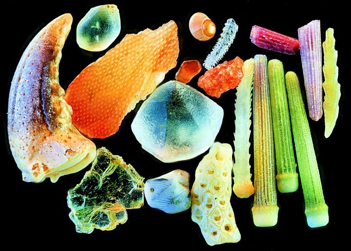 Sand under a Microscope; How Does Magnified Sand Look?