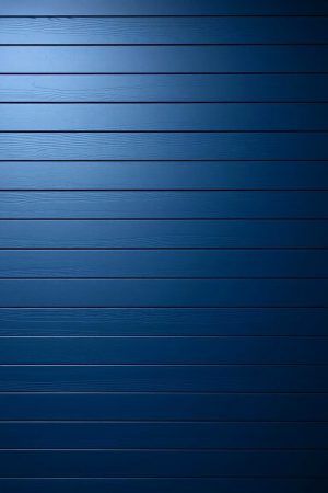 22 Shiplap Accent Wall Ideas for Bold Interior Statements - Lost At E Minor