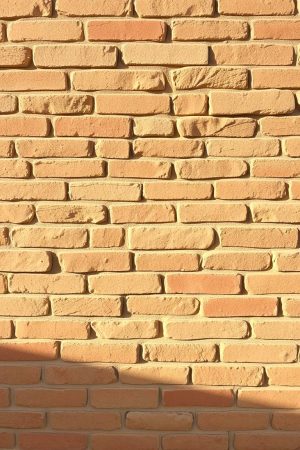 22 Brick Wallpaper Ideas for Industrial or Farmhouse Styles - Lost At E ...